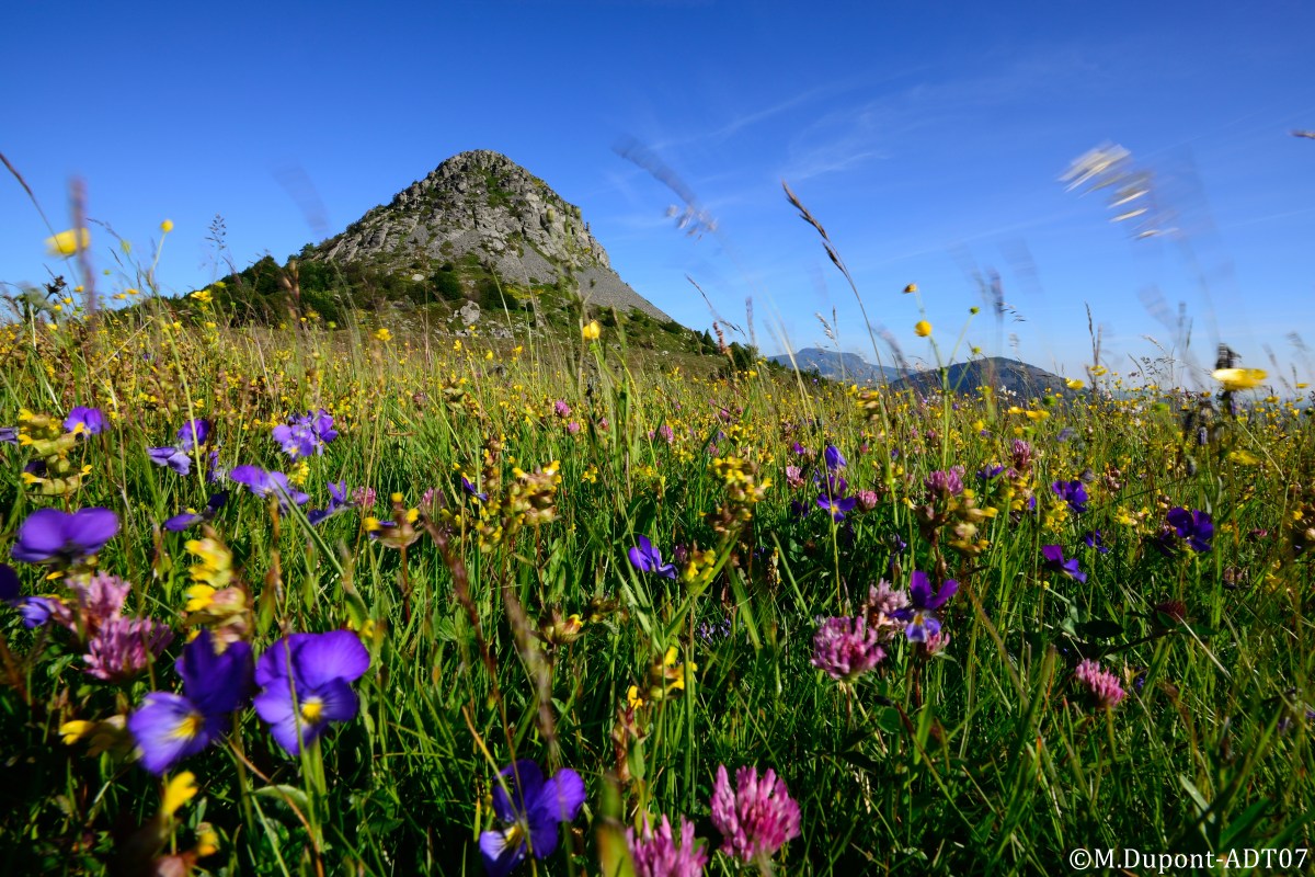 5 reasons to visit the Ardèche in Rhône-Alpes